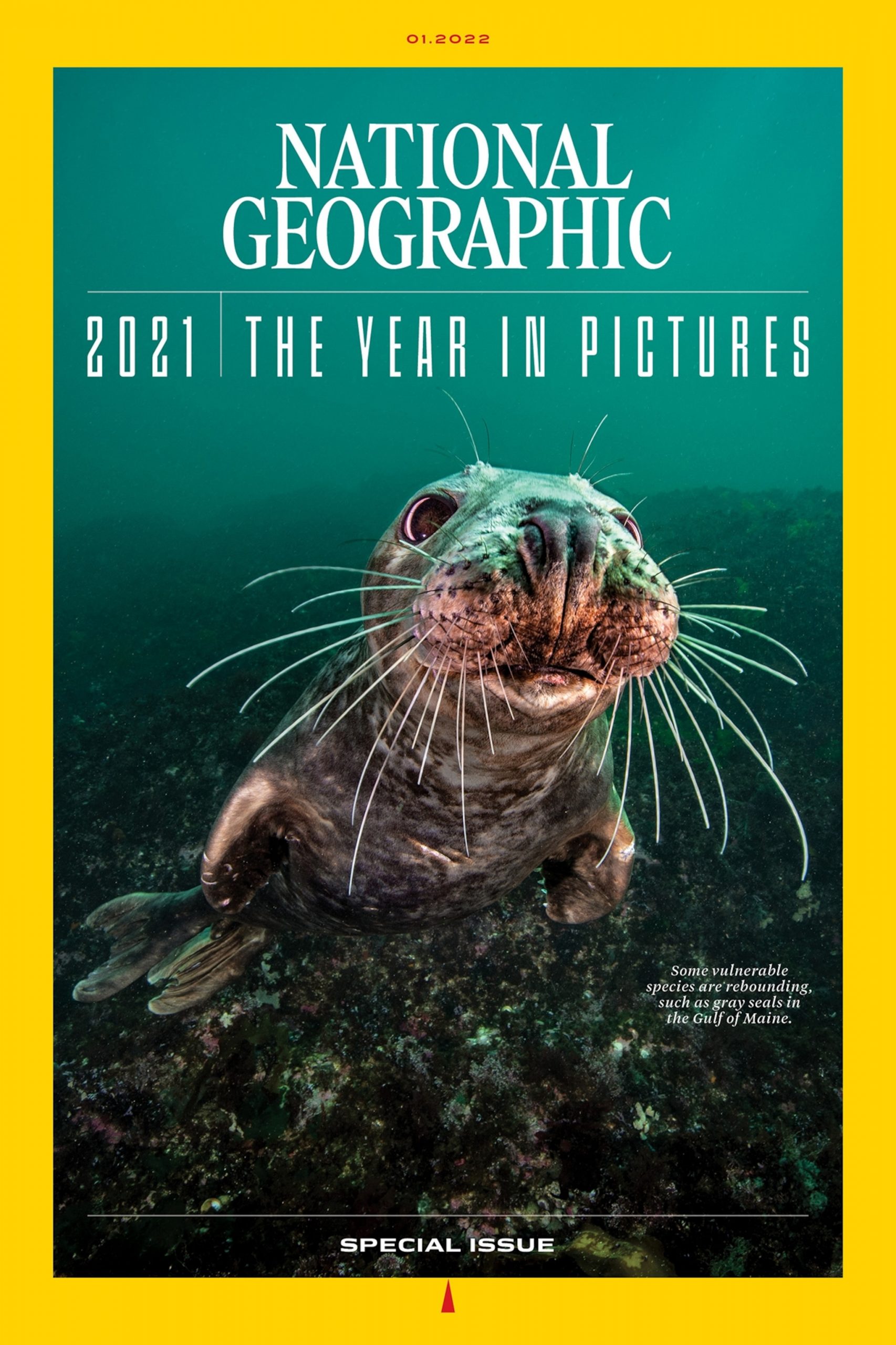 National Geographic - Magazines International
